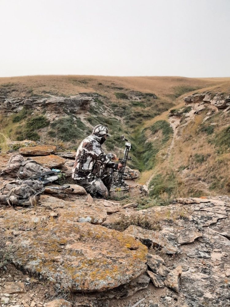 Products – Predator Camo Canada